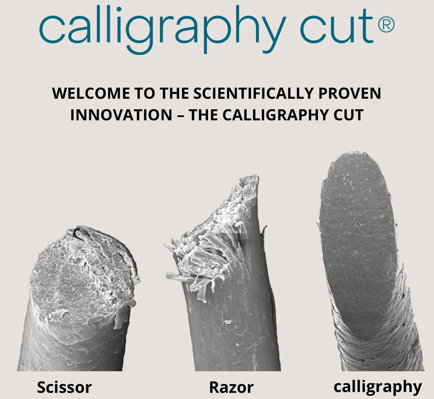 Calligraphy Cut United Kingdom